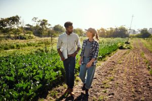 Florida Agricultural Dealer License Guide | FDACS Licensing
