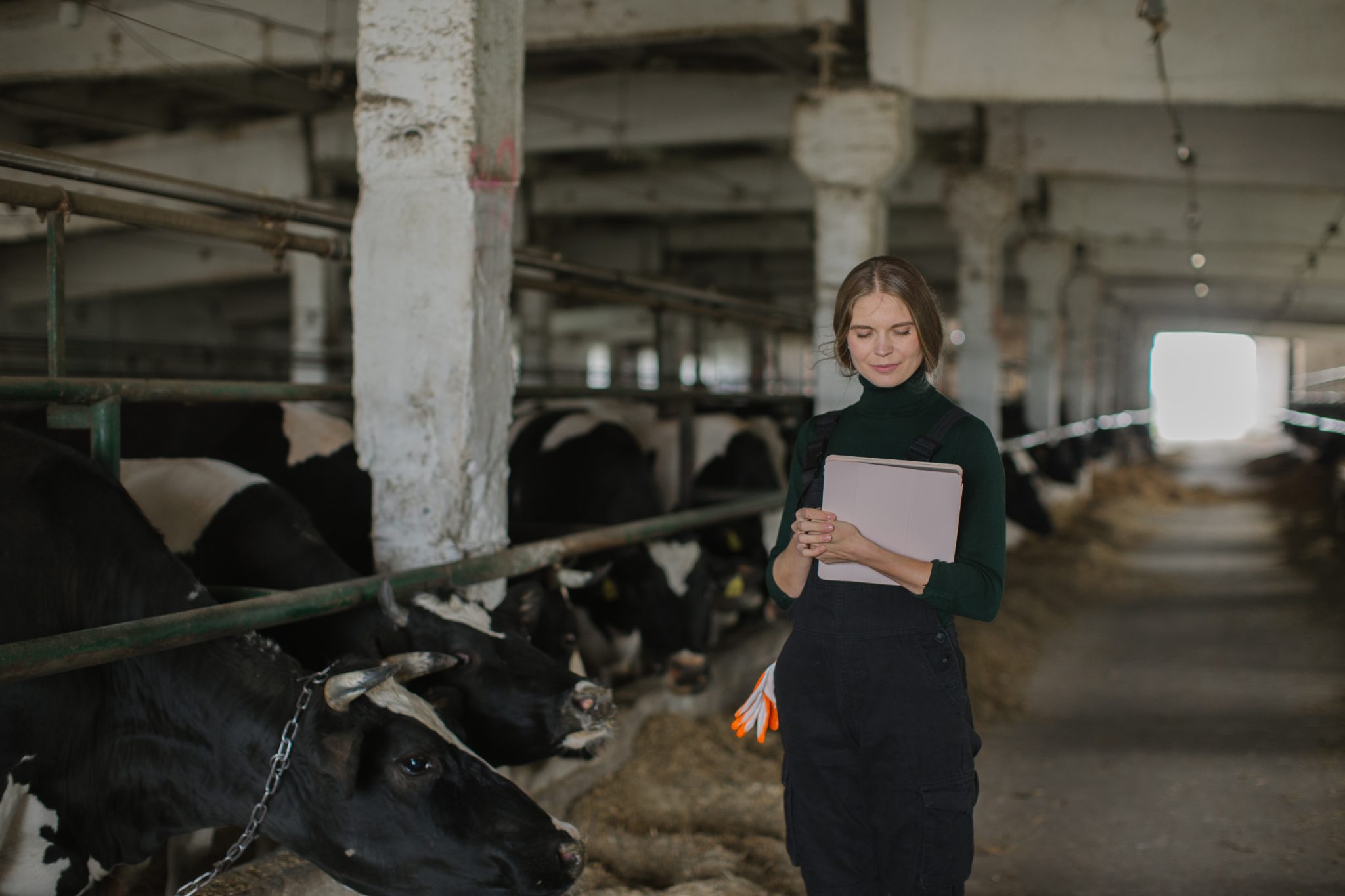 DEA Certification: A Guide for Healthcare Professionals